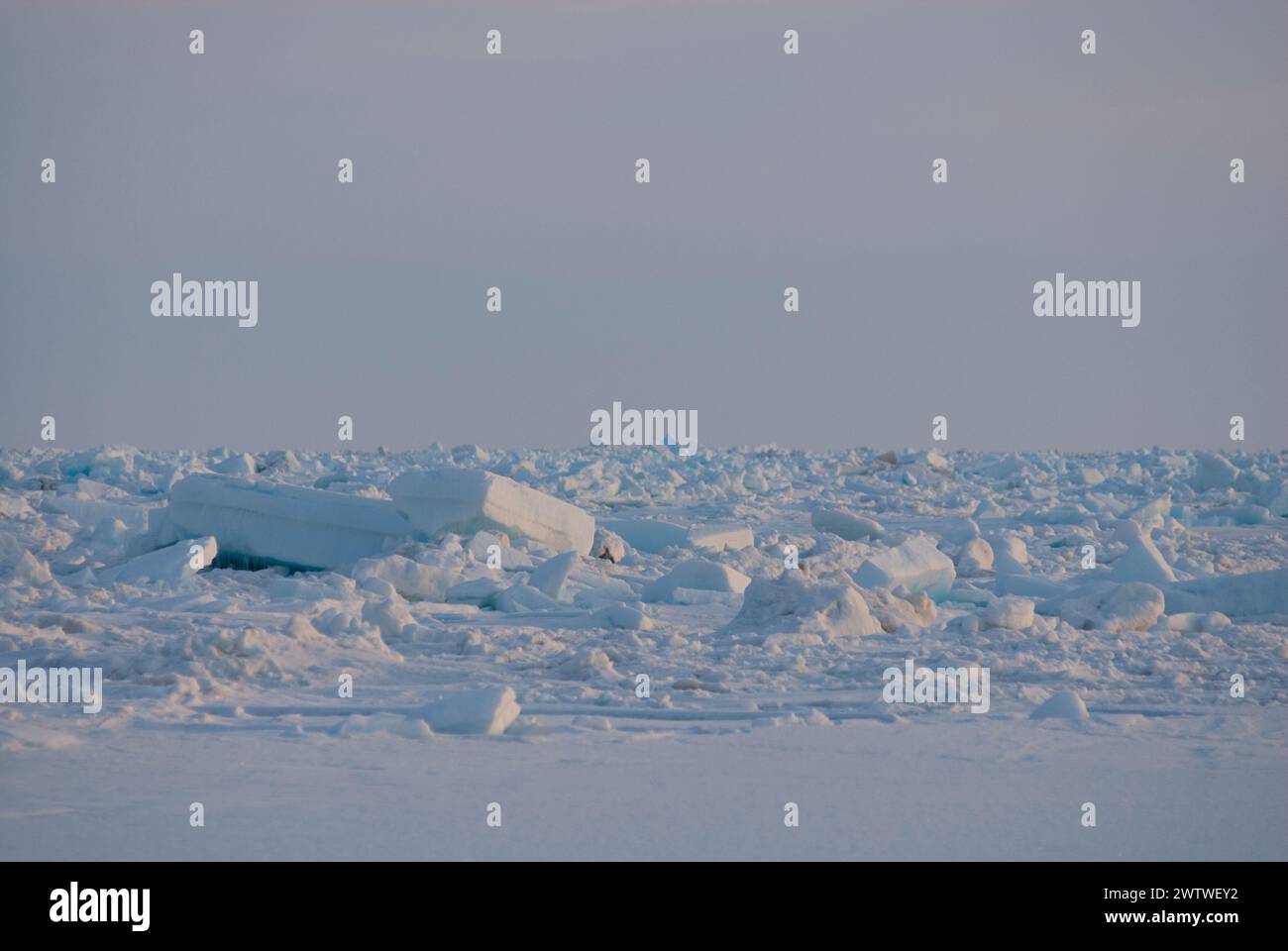 Seascape of rough pack ice over the Chukchi sea in springtime, off ...