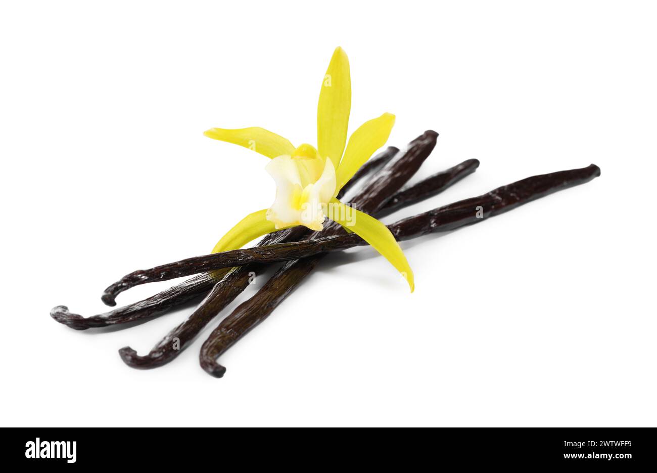 Vanilla pods and beautiful flower isolated on white Stock Photo - Alamy