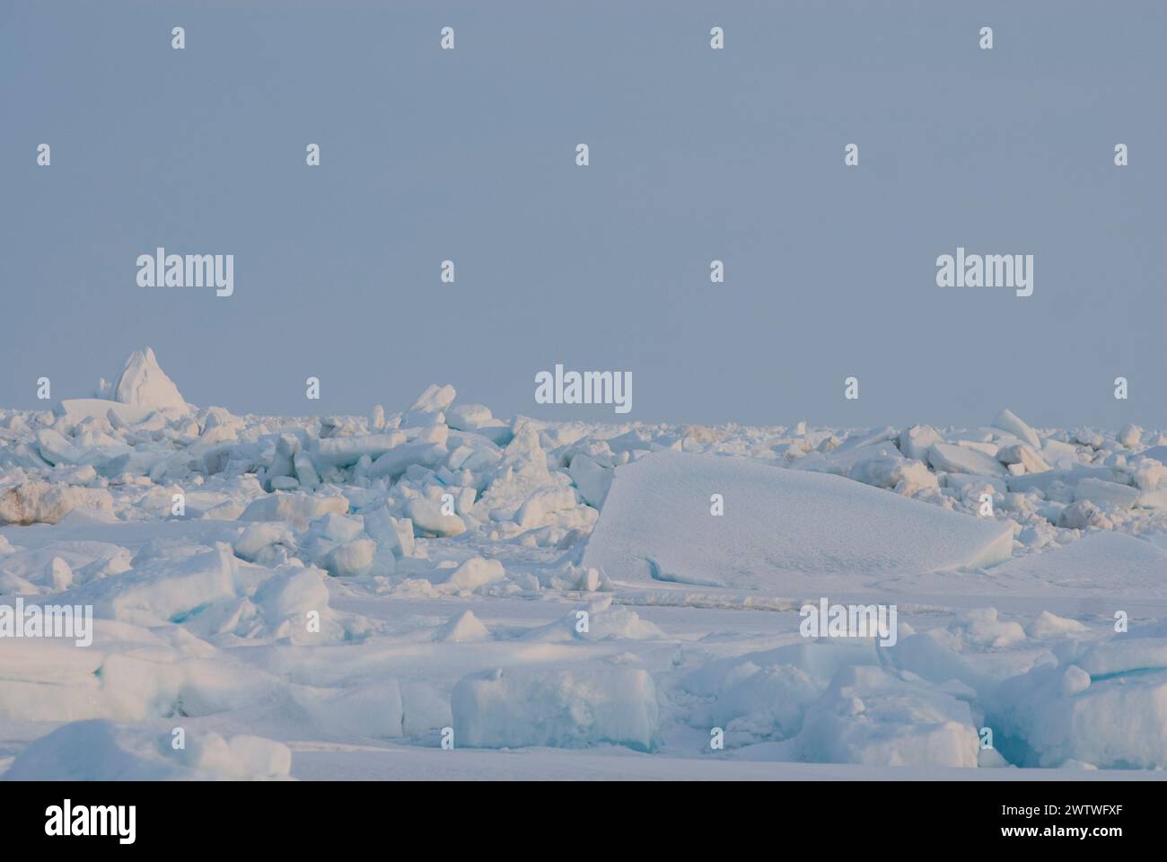 Seascape of rough pack ice over the Chukchi sea in springtime, off ...