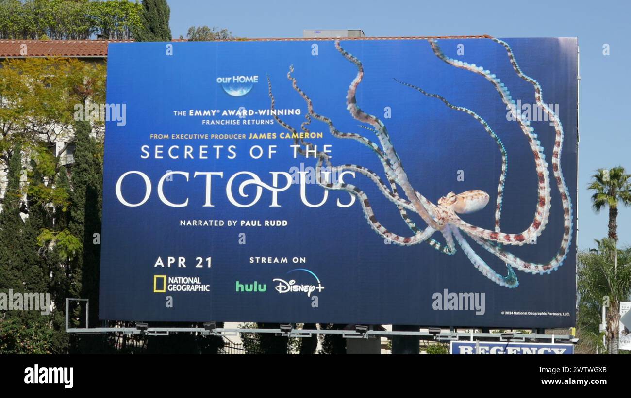 Los Angeles, California, USA 19th March 2024 Producer James Cameron ...