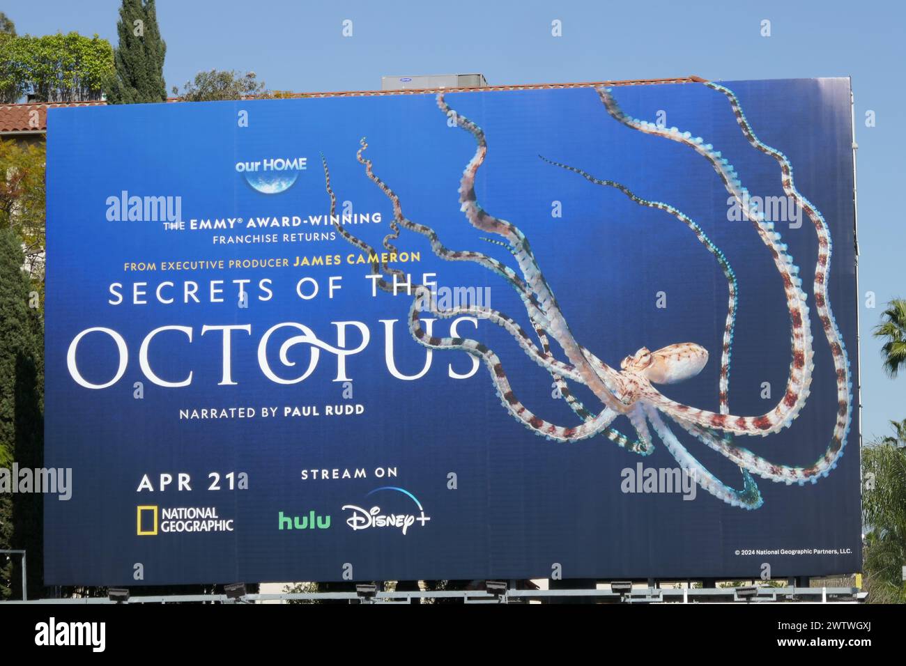 Jkames cameraon hi-res stock photography and images - Alamy