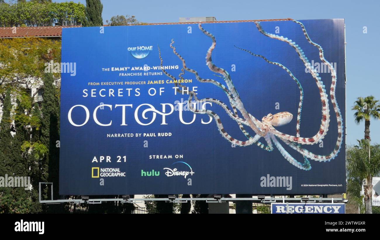 Los Angeles, California, USA 19th March 2024 Producer James Cameron ...