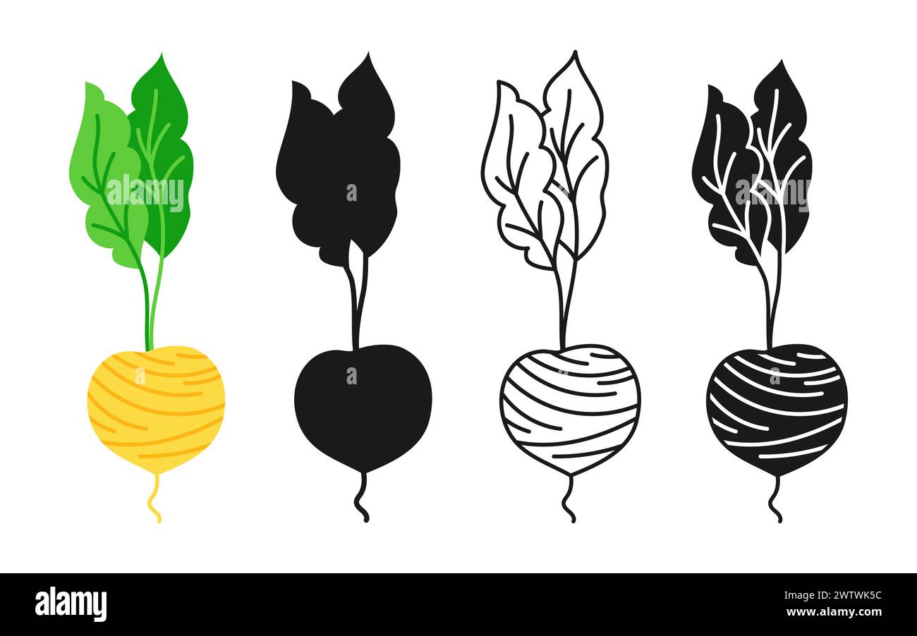 Sugar beet linear icon, cartoon symbol set. Hand Drawn food silhouette ...