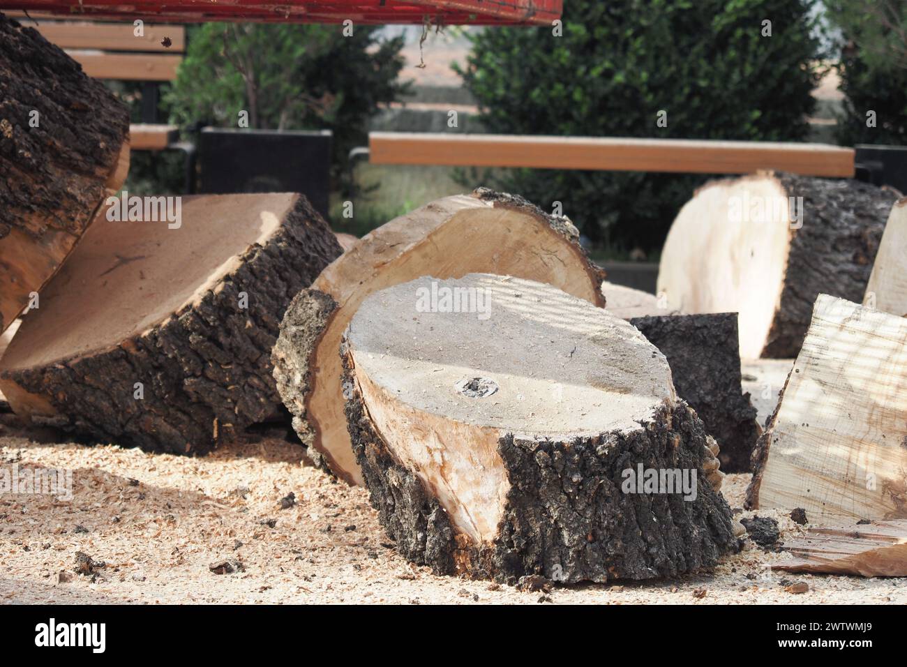 Stack of hardwood logs create a rustic landscape in front of the house ...