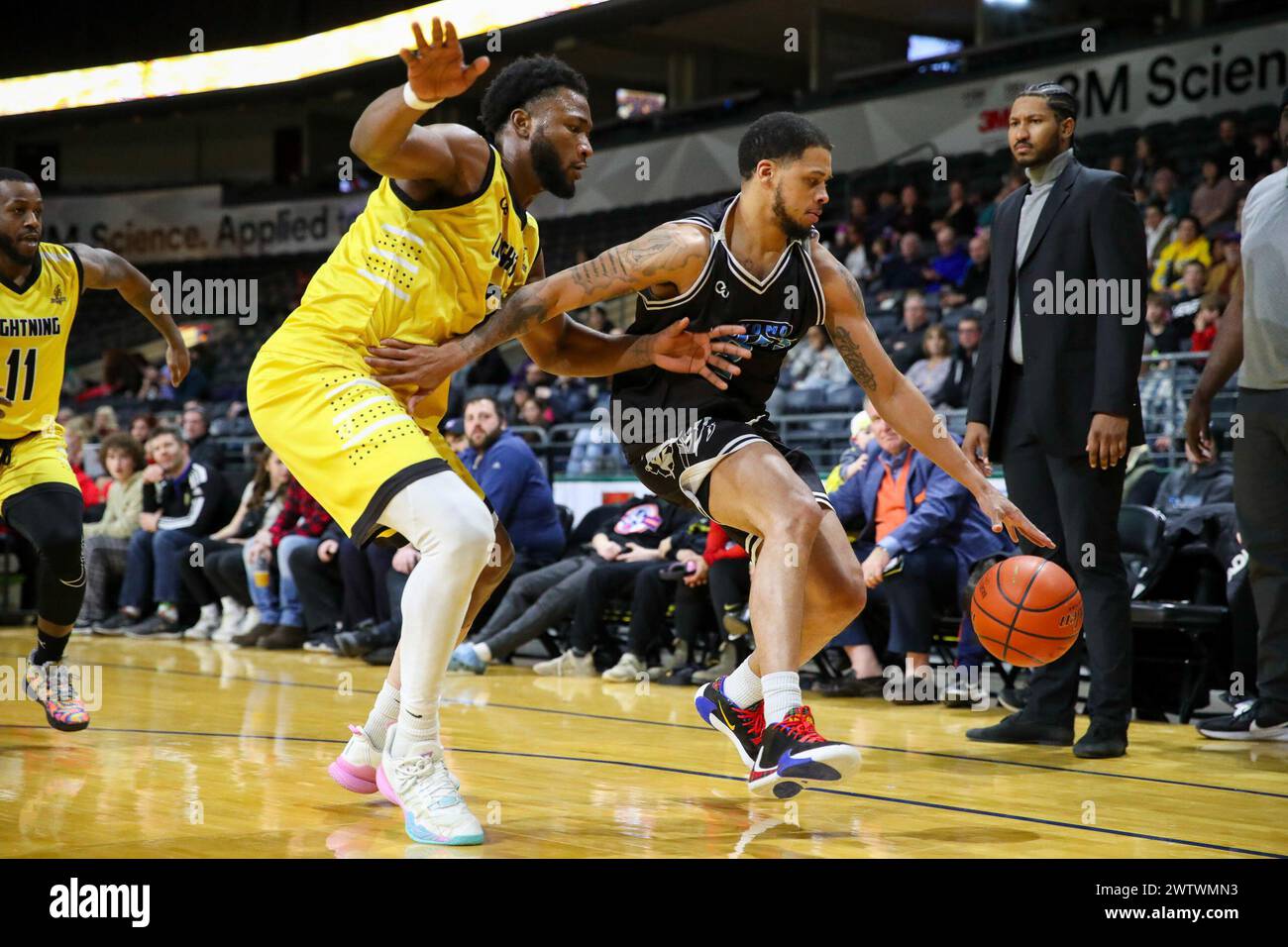 Kokomo bobkats hi-res stock photography and images - Alamy