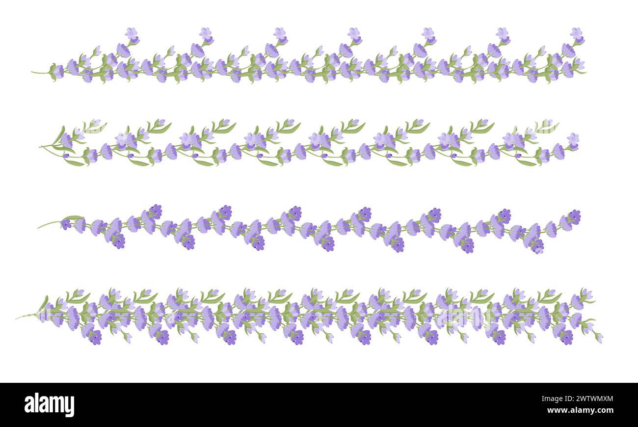 Set of decorative borders of lavender flowers for your design. Vector ...