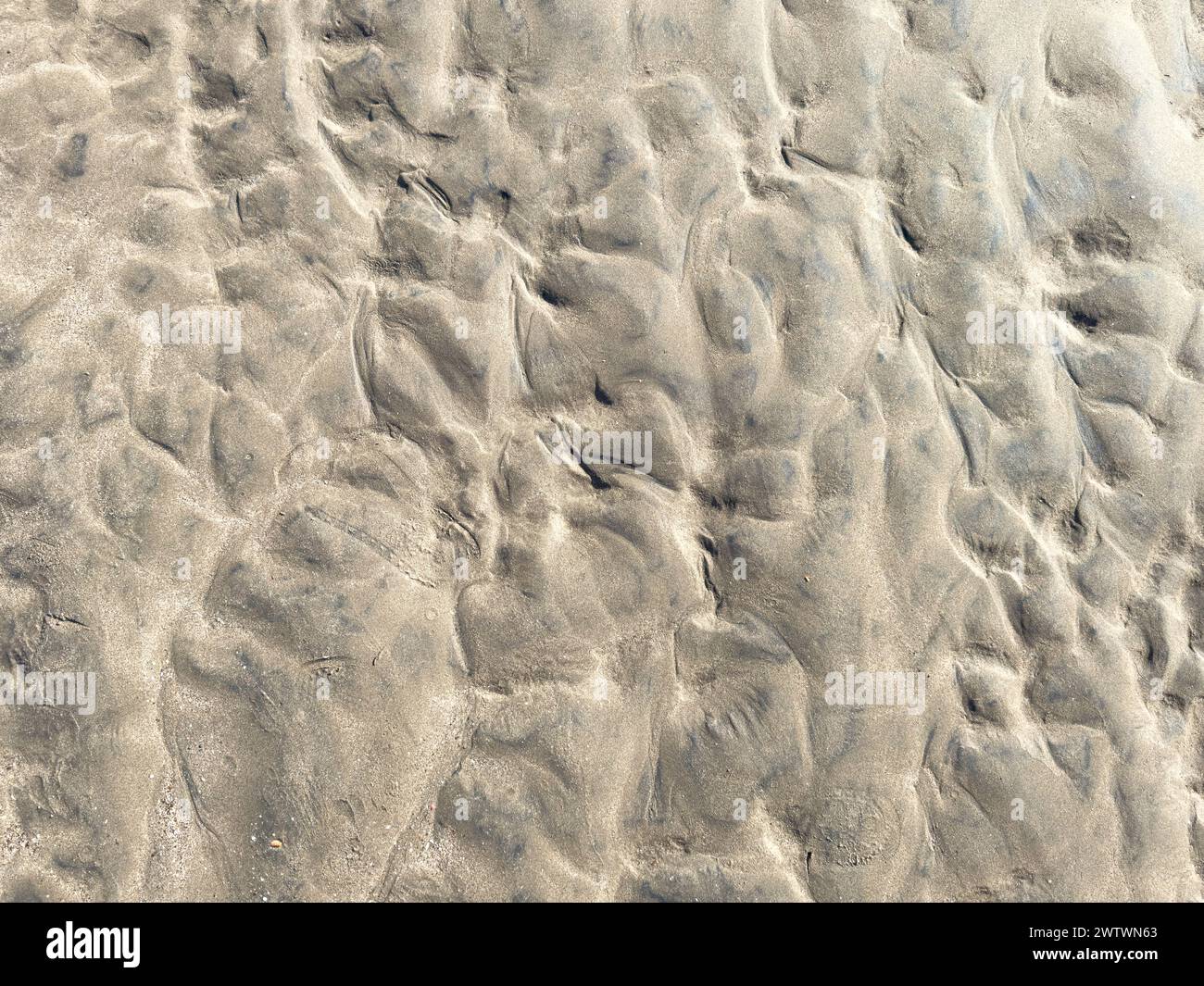 Coast wet sand pattern background with curlu lines Stock Photo - Alamy