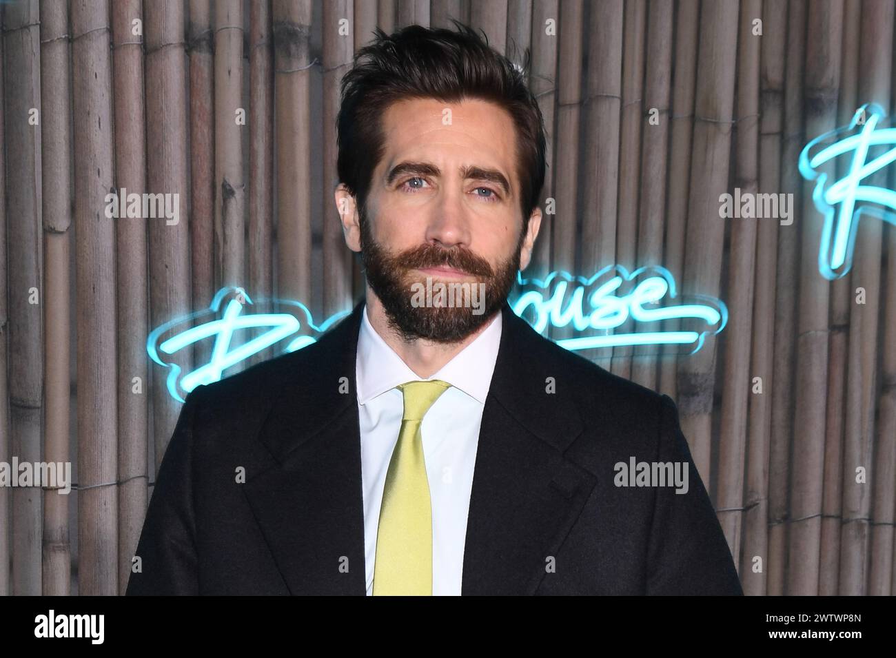 New York, USA. 19th Mar, 2024. Actor Jake Gyllenhaal attends the ...