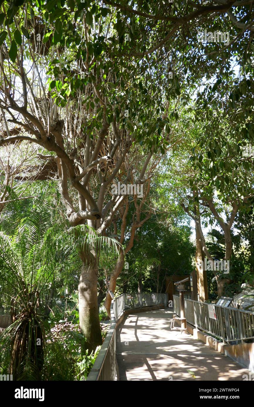 Los Angeles, California, USA 18th March 2024 Aviary at LA Zoo on March ...