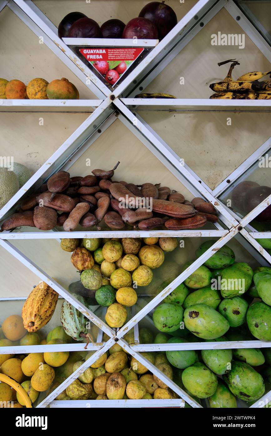 Fresh tropical fruits display inside a fruit juice shop on Calle El ...