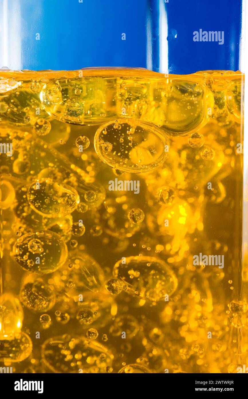 Light micrograph of bubbles made from washing-up liquid, glycerol and ...