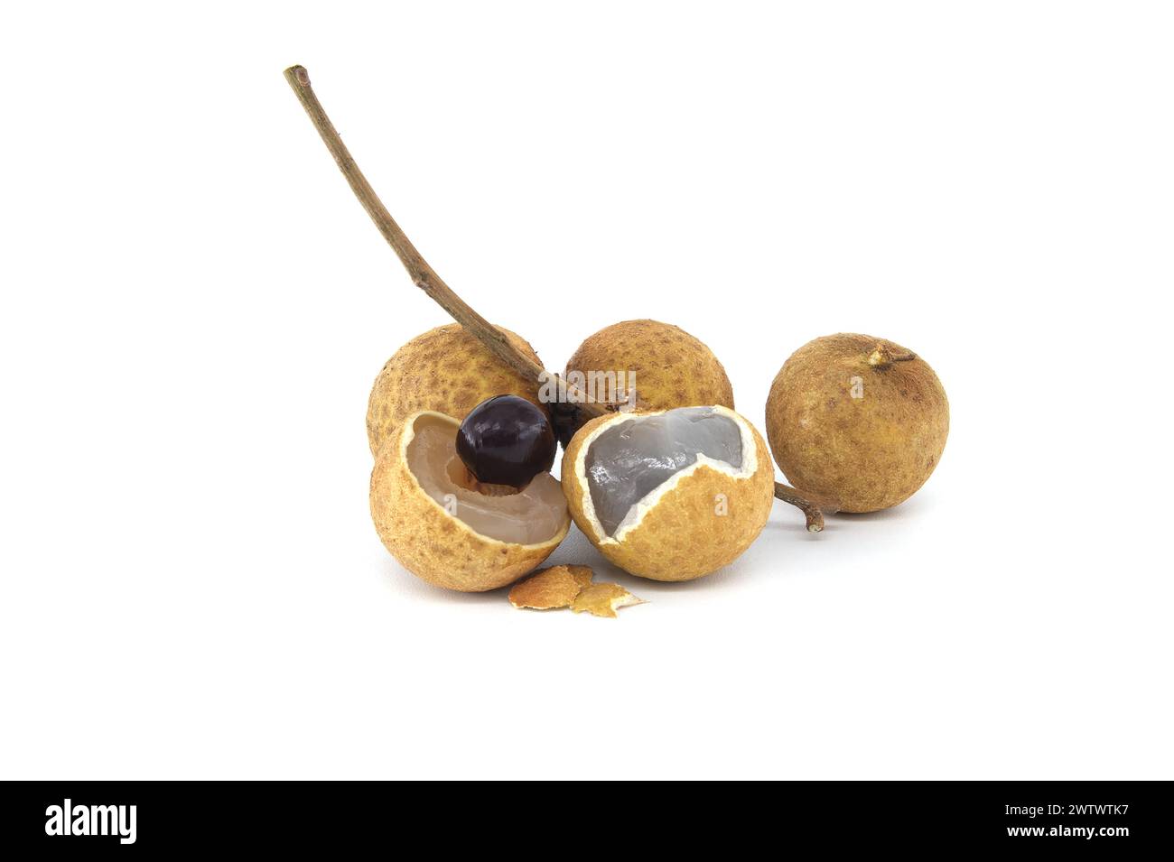 Dragon eye fruit, also known as longan bao is a longan fruit on a ...