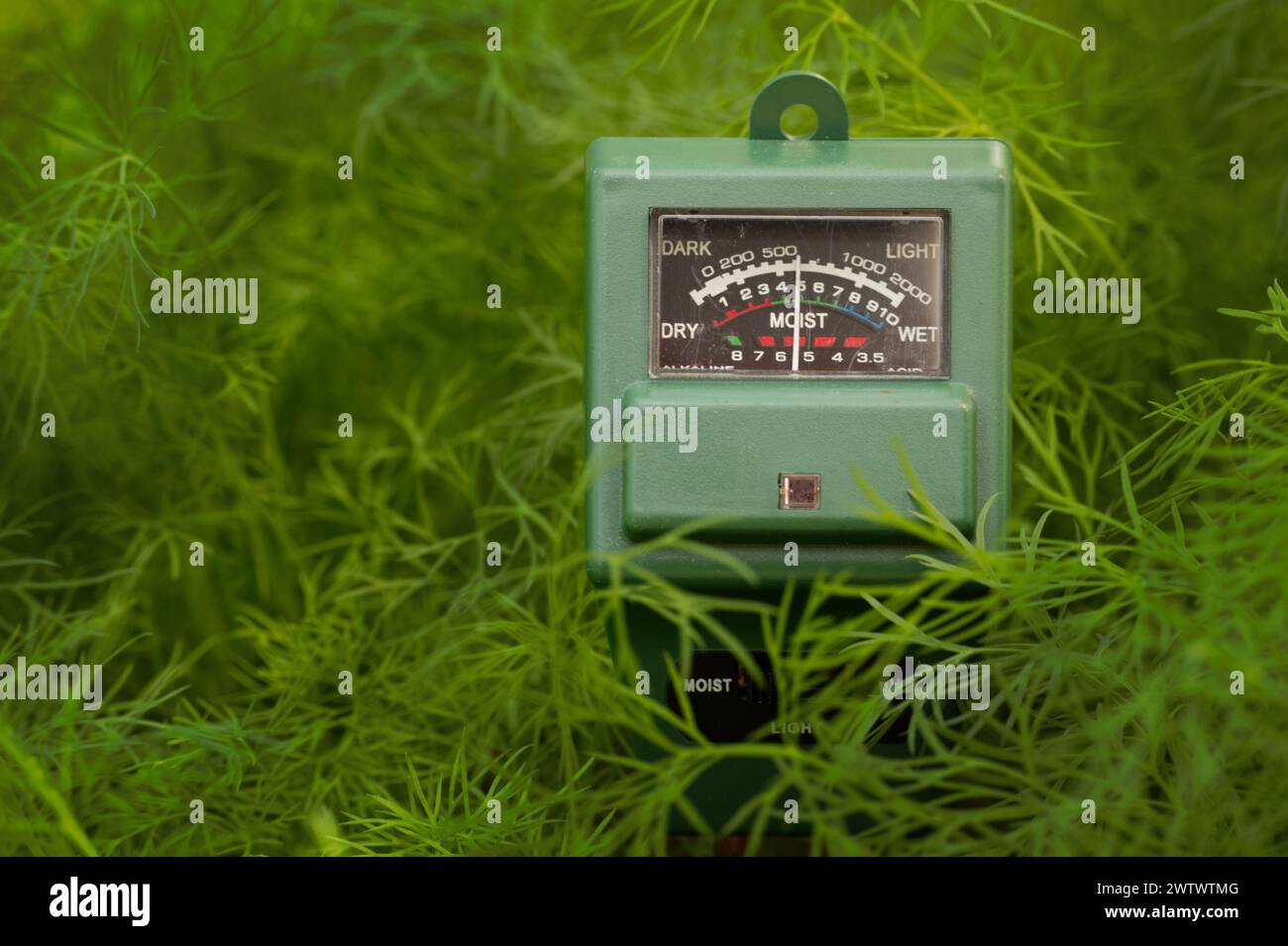 Green plants and three way meter PH, light and moisture in the soil ...