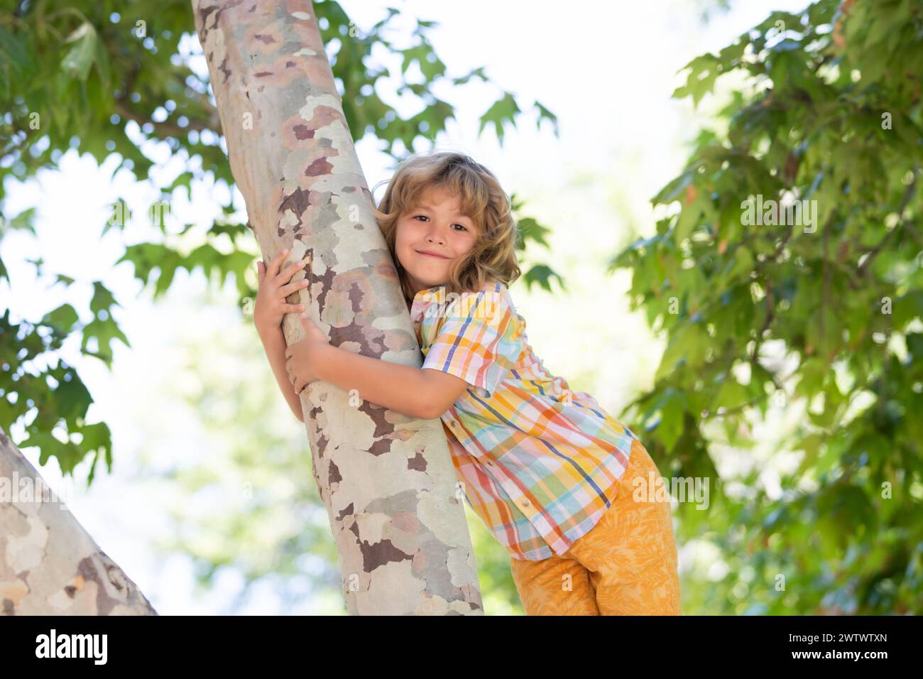 Kid climbing on a tree branch outdoor Stock Photo - Alamy