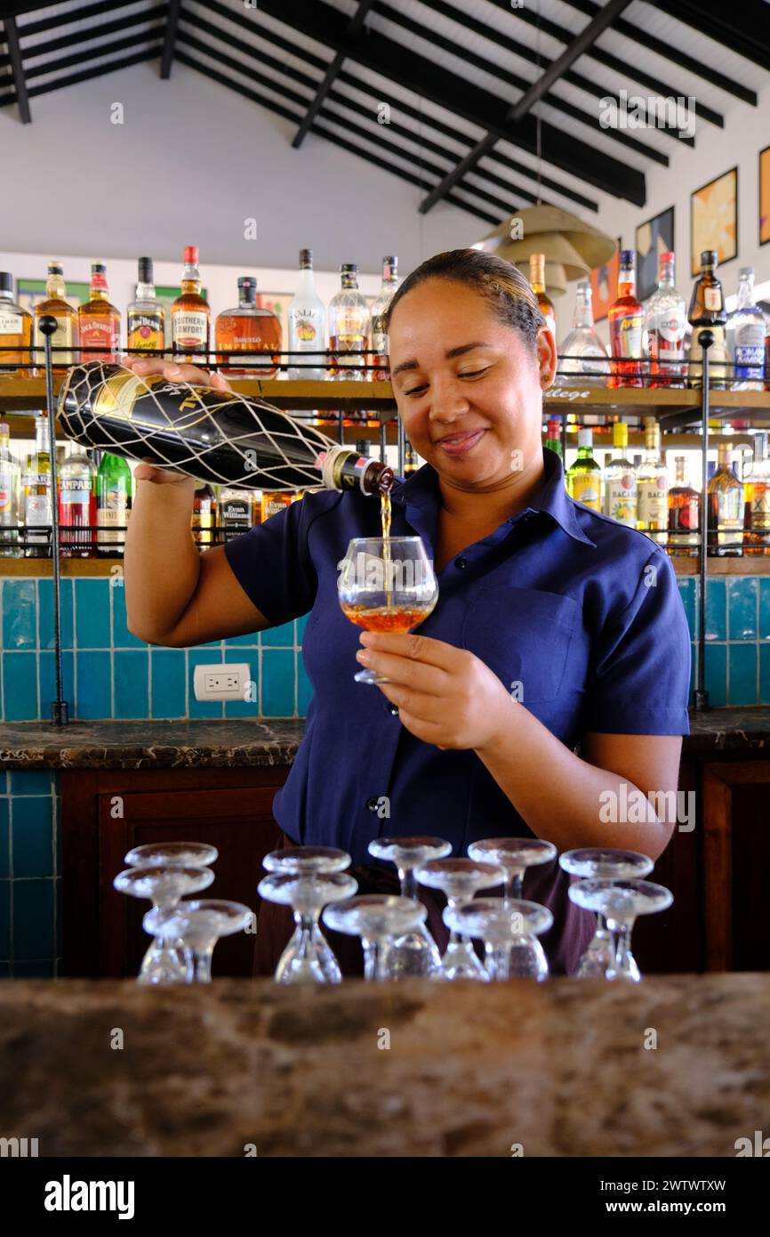 A female bartender serving Dominican Rum in the lobby bar in Ocean Blue ...
