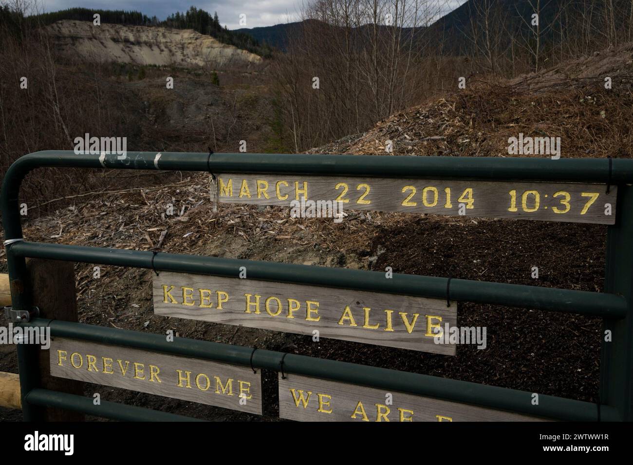 The Oso landslide scar is seen near a sign at the memorial site on ...