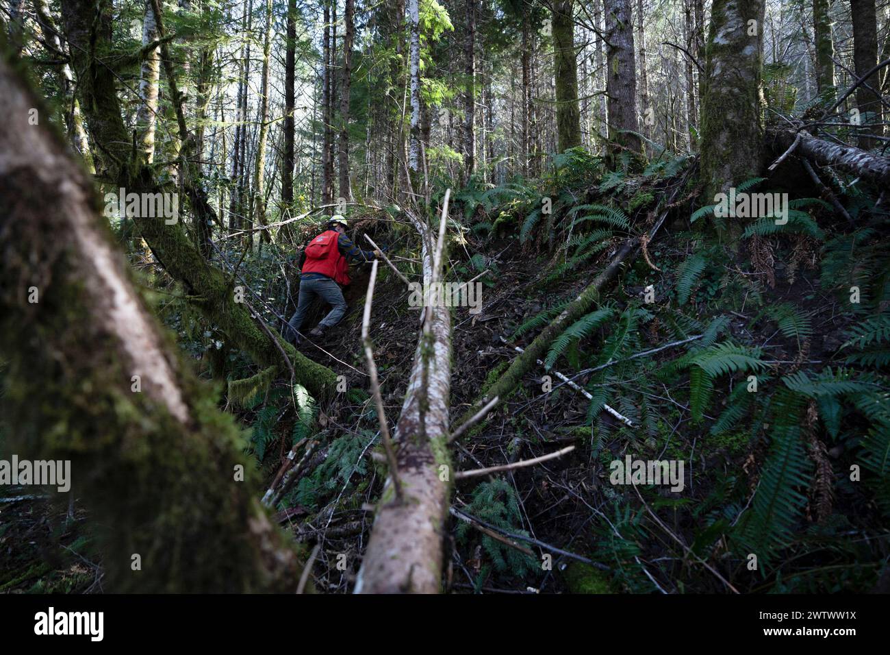 Washington State Department of Natural Resources geologist Mitch Allen ...