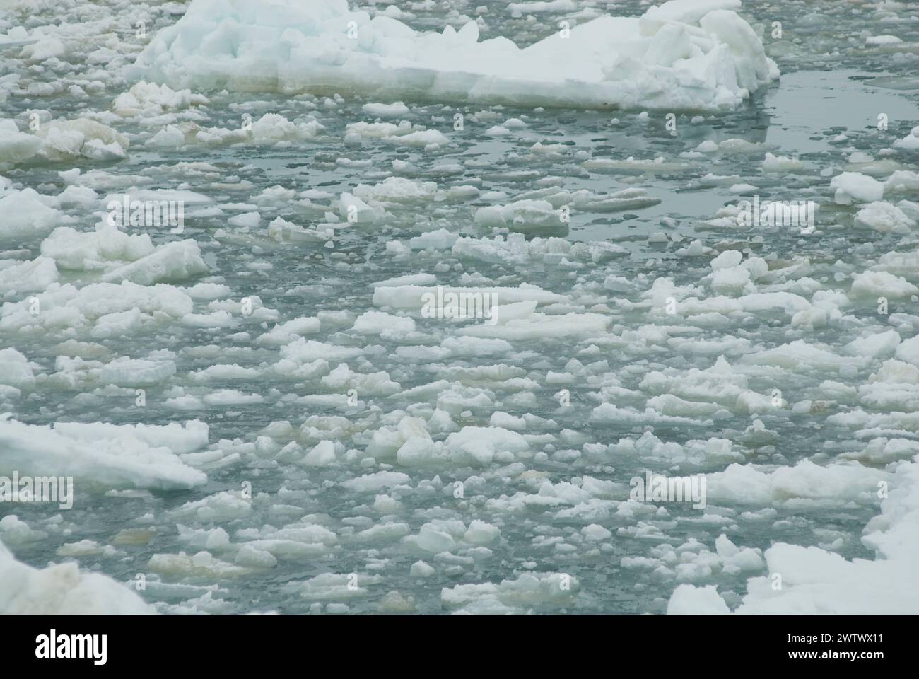 Seascape open lead rough pack ice over the Chukchi sea in springtime ...