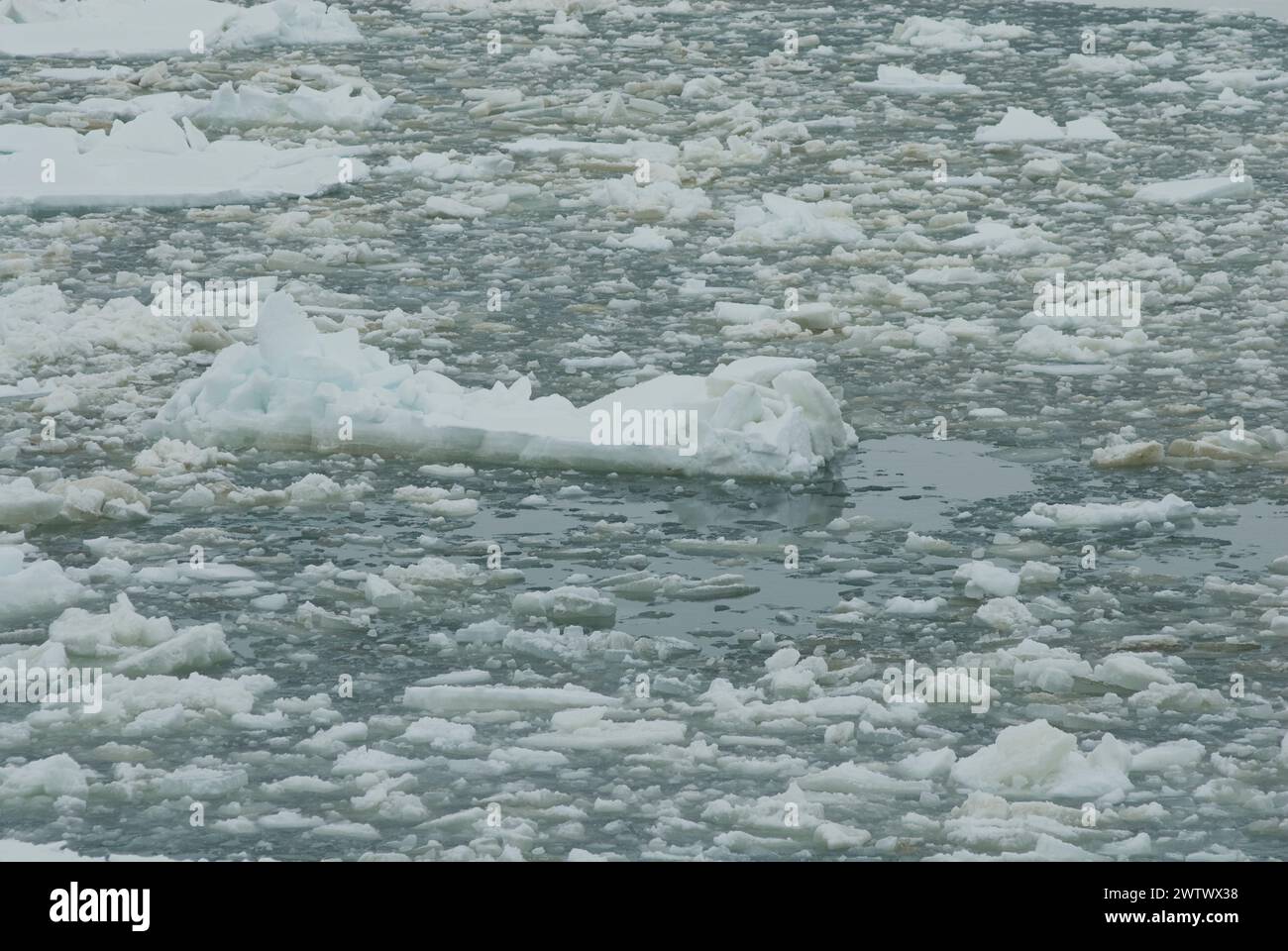 Seascape open lead rough pack ice over the Chukchi sea in springtime ...
