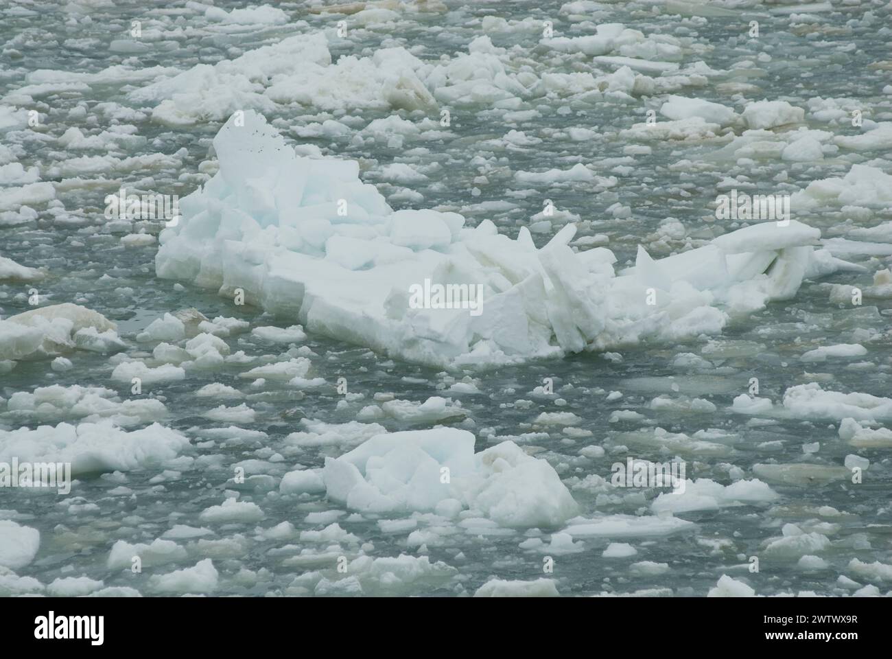 Seascape open lead rough pack ice over the Chukchi sea in springtime ...