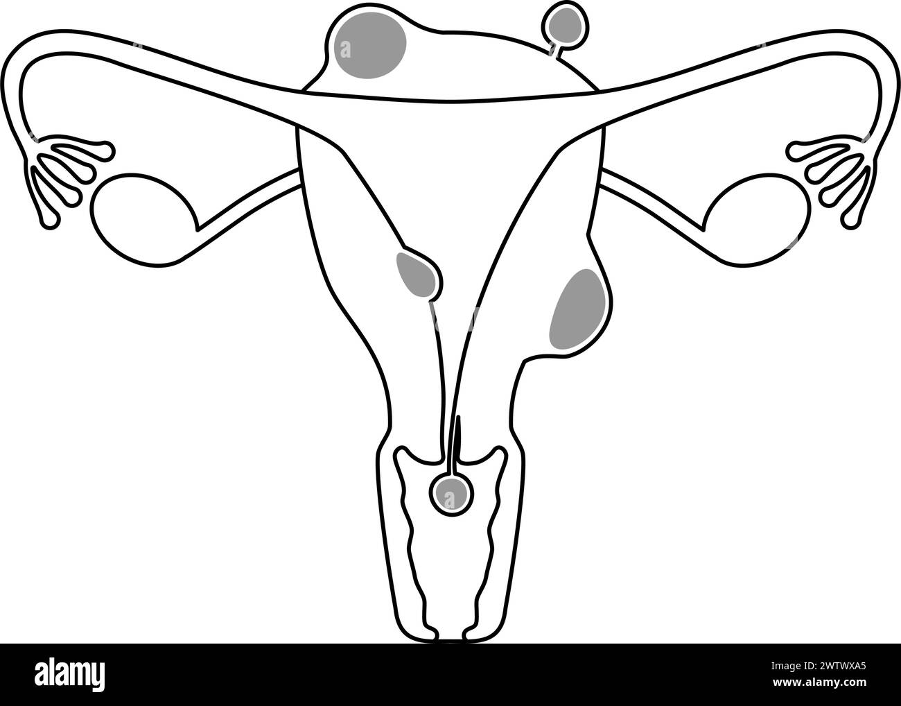 Human body organs diagram Black and White Stock Photos & Images - Alamy