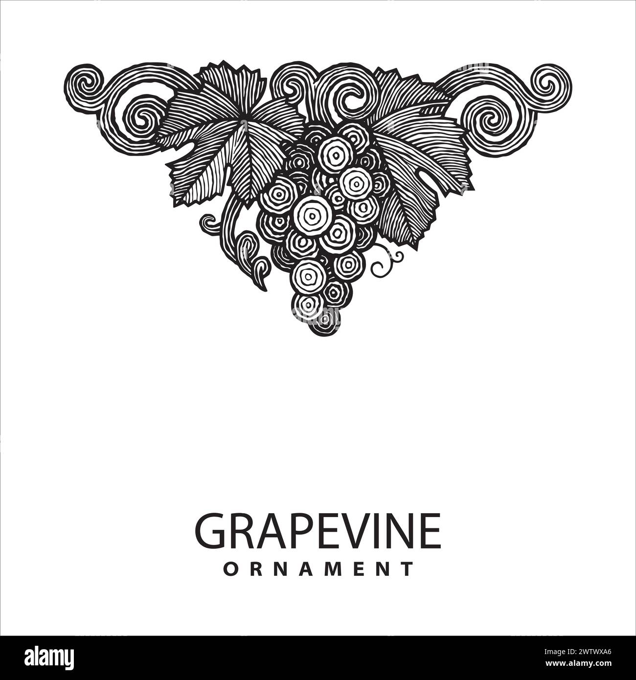 Grape bunch vintage style hand drawing illustration Stock Vector Image ...