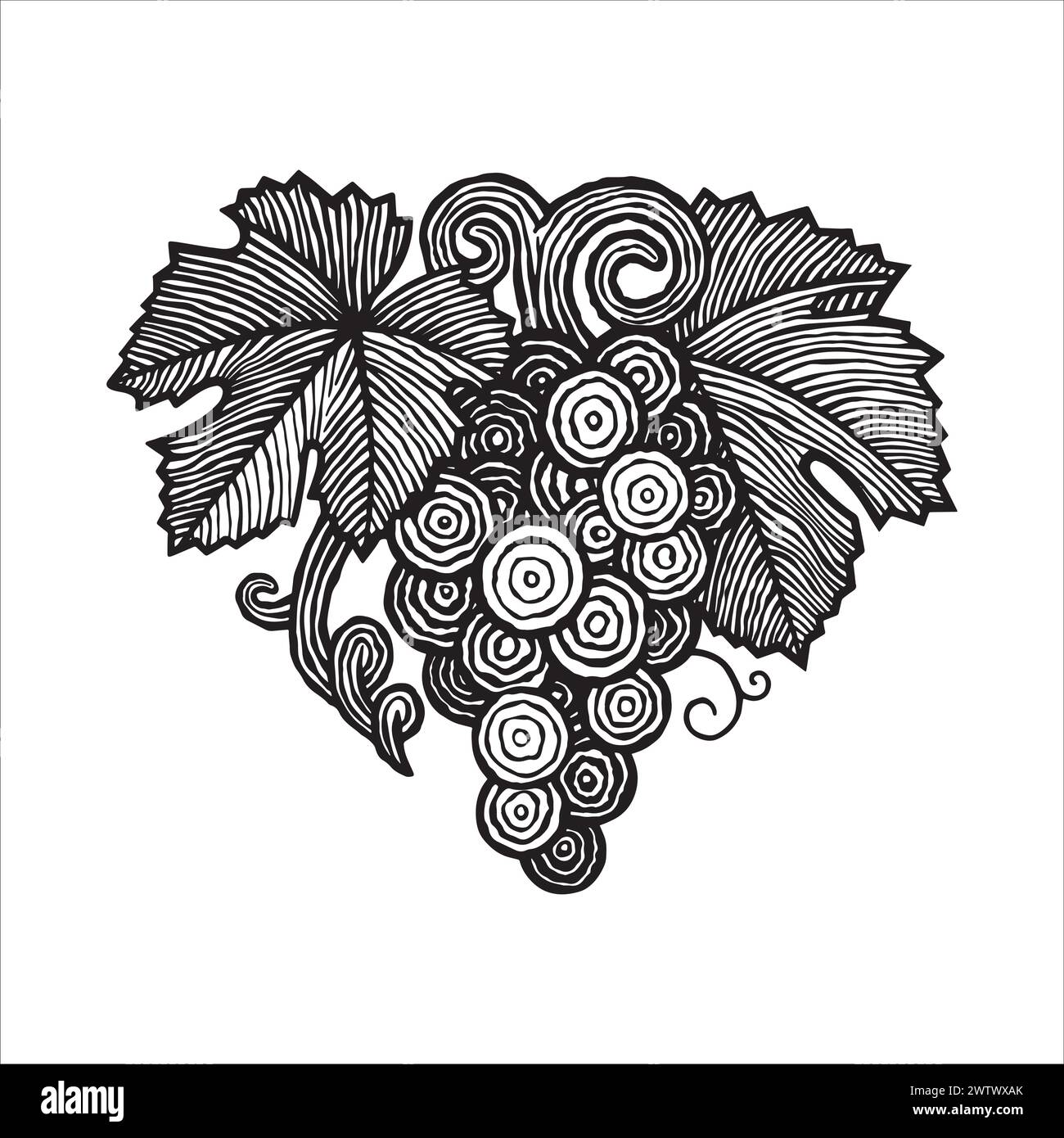 Grape bunch vintage style hand drawing illustration Stock Vector Image ...