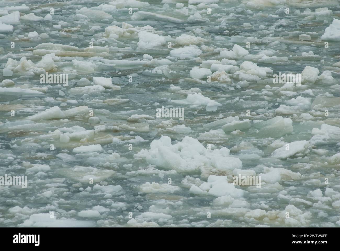 Seascape open lead rough pack ice over the Chukchi sea in springtime ...