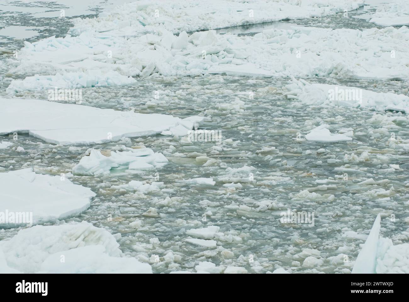 Seascape open lead rough pack ice over the Chukchi sea in springtime ...