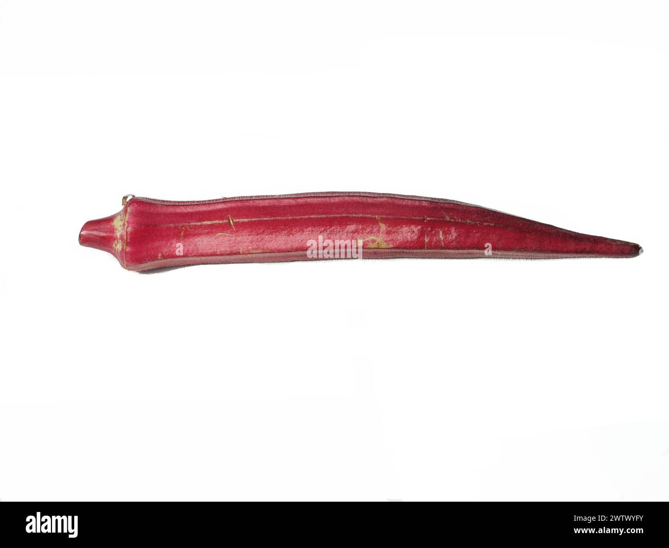 Red color dwarf long pod Okra isolated on white background, Healthy and ...