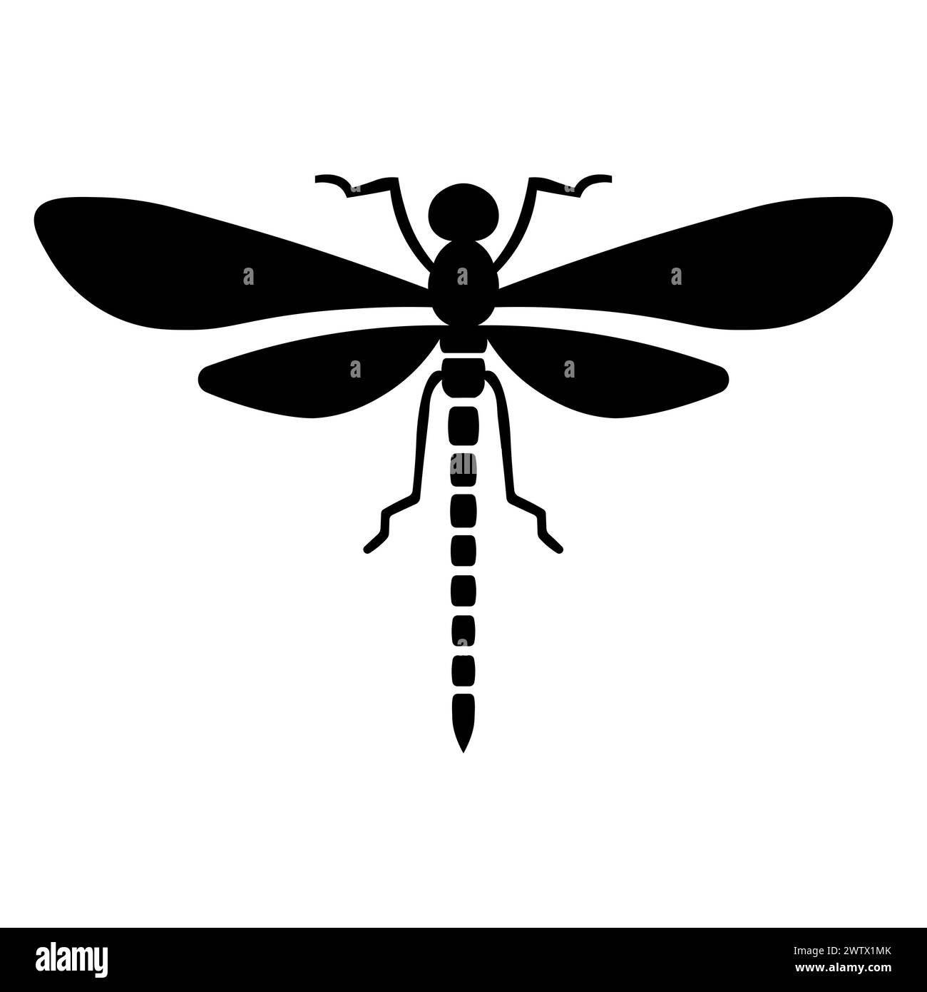 Black and white dragonfly Black and White Stock Photos & Images - Alamy