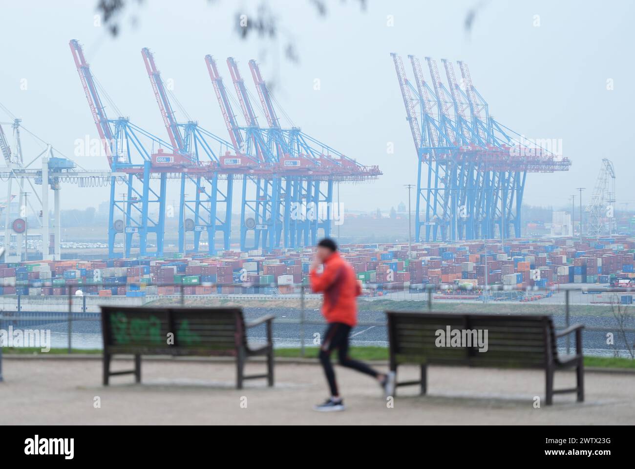 Hamburg, Germany. 20th Mar, 2024. A jogger runs across the Altona ...