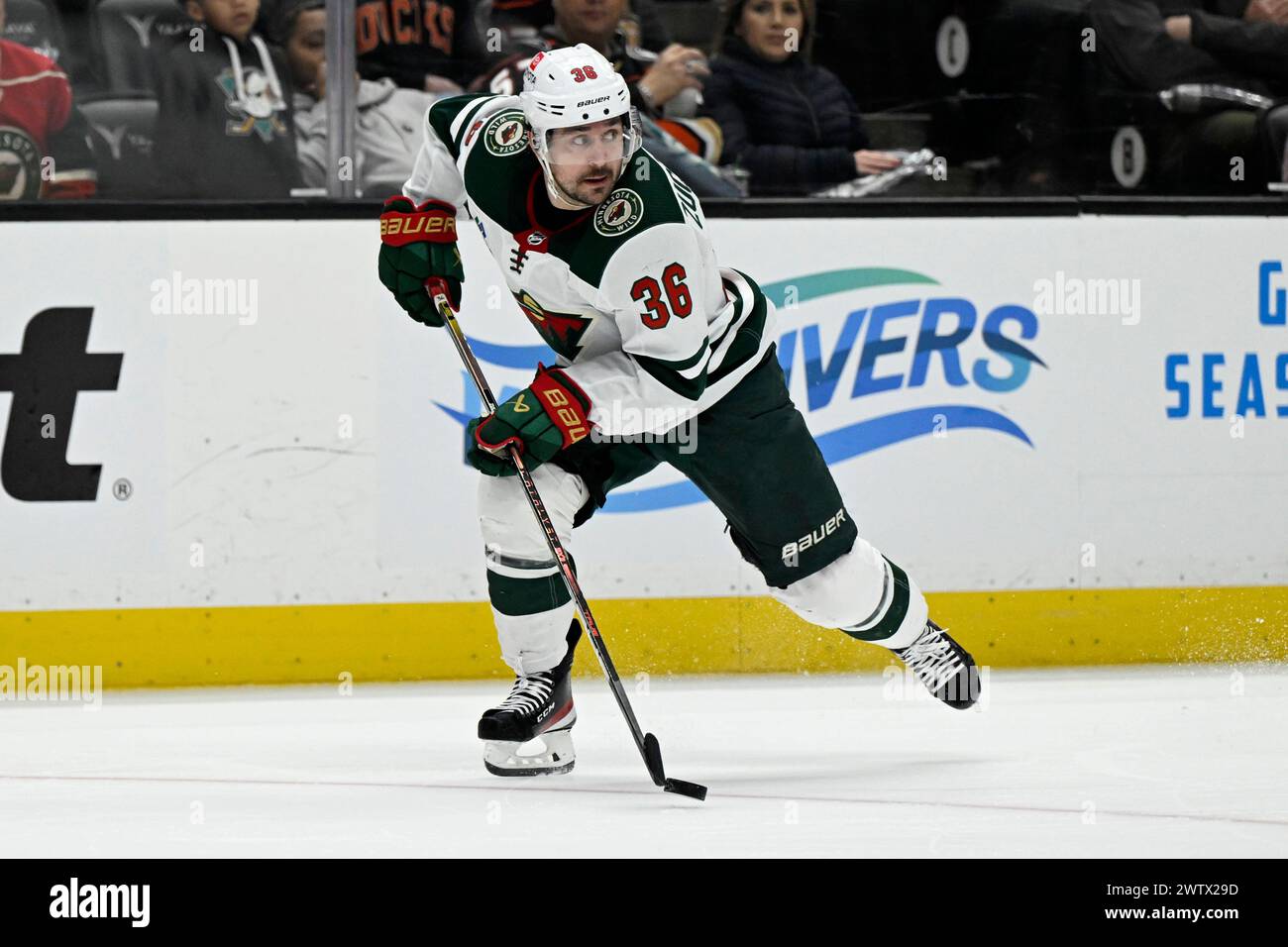 Minnesota Wild right wing Mats Zuccarello controls the puck against the ...