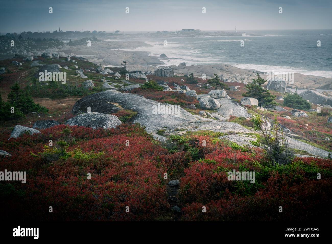 Granite boulders and wild flowers on a foggy day on the Atlantic Coast ...