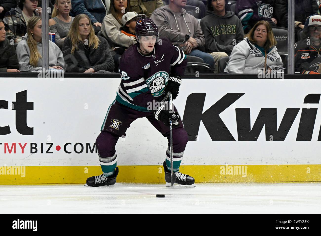 Anaheim Ducks right wing Troy Terry (19) controls the puck against the ...