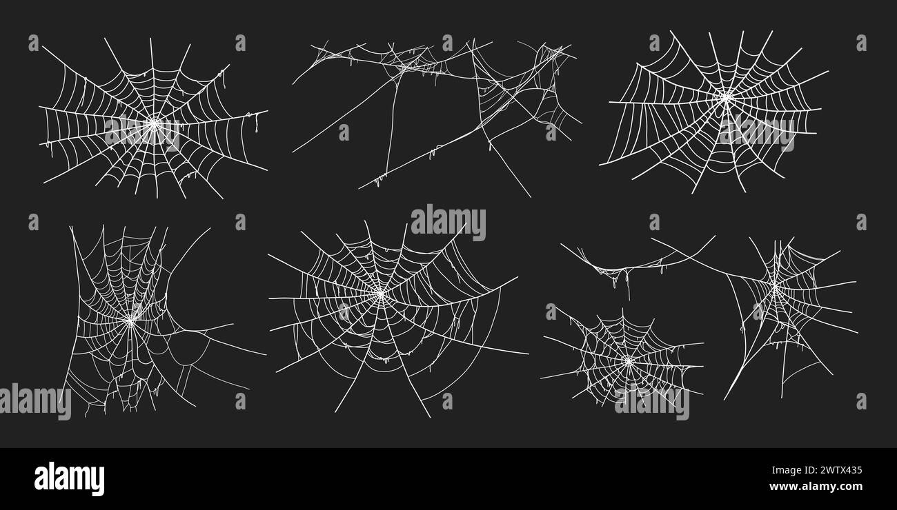Spooky halloween old spider web with various sizes and shapes. Old ...