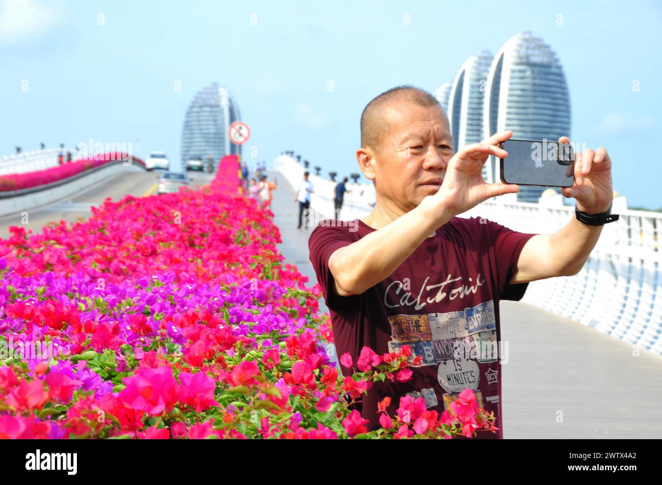 Blooming bougainvillea flowers attract tourists in Sanya City ...