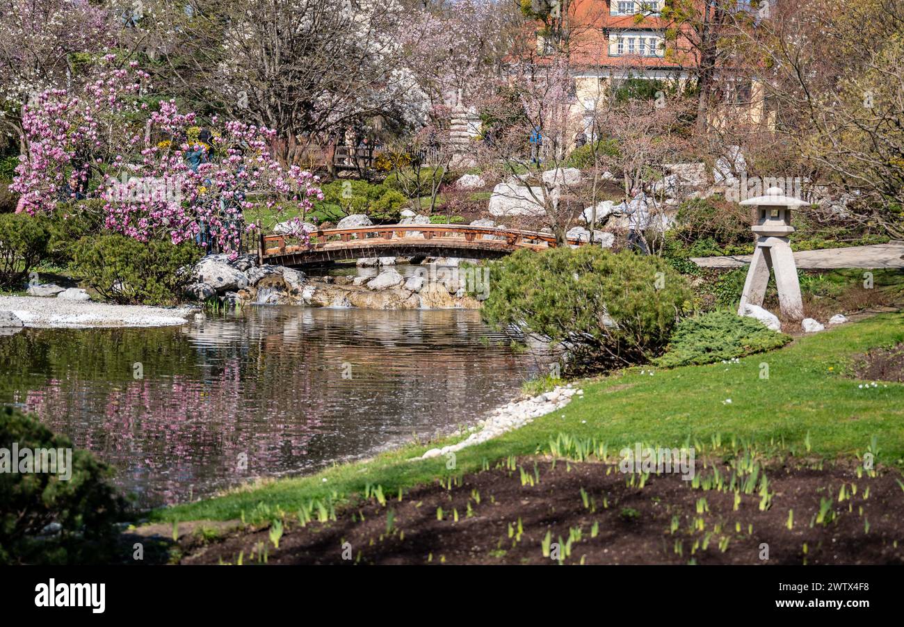 Impressions of the Vienna Setagaya Park-Japanese Garden, which was ...