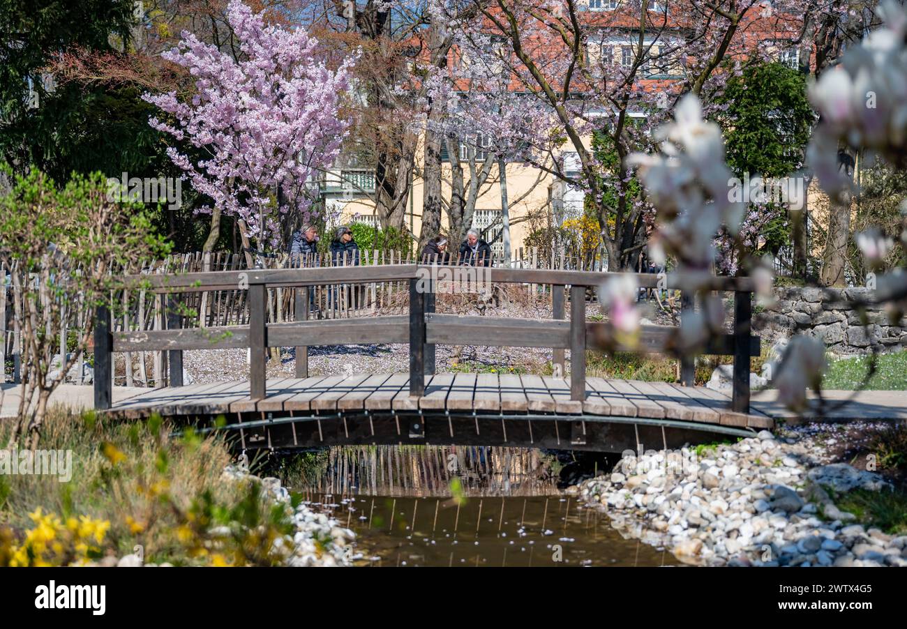 Impressions of the Vienna Setagaya Park-Japanese Garden, which was ...