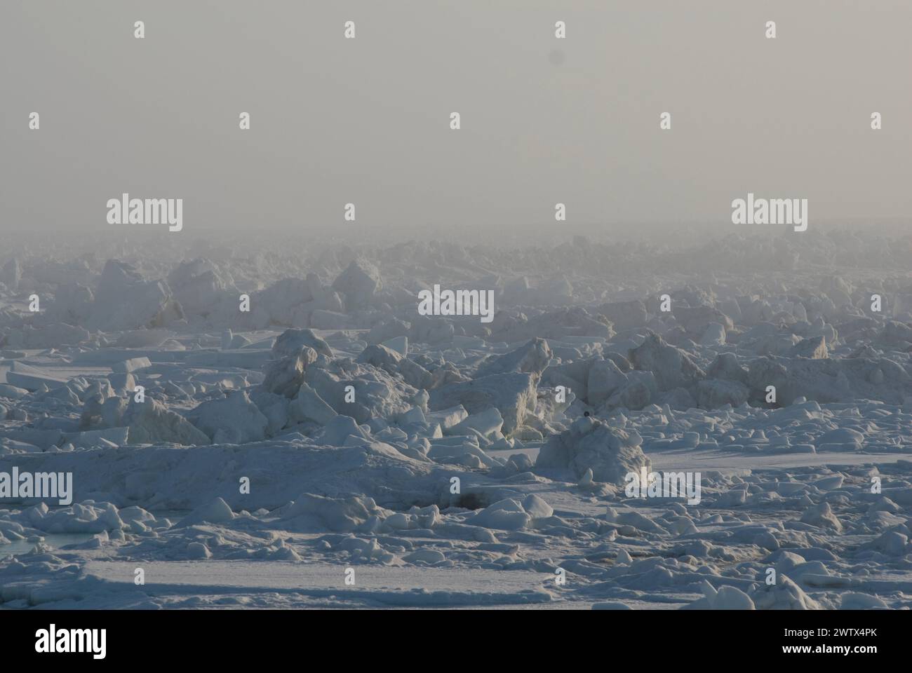 Seascape of rough pack ice over the Chukchi sea in springtime, off ...