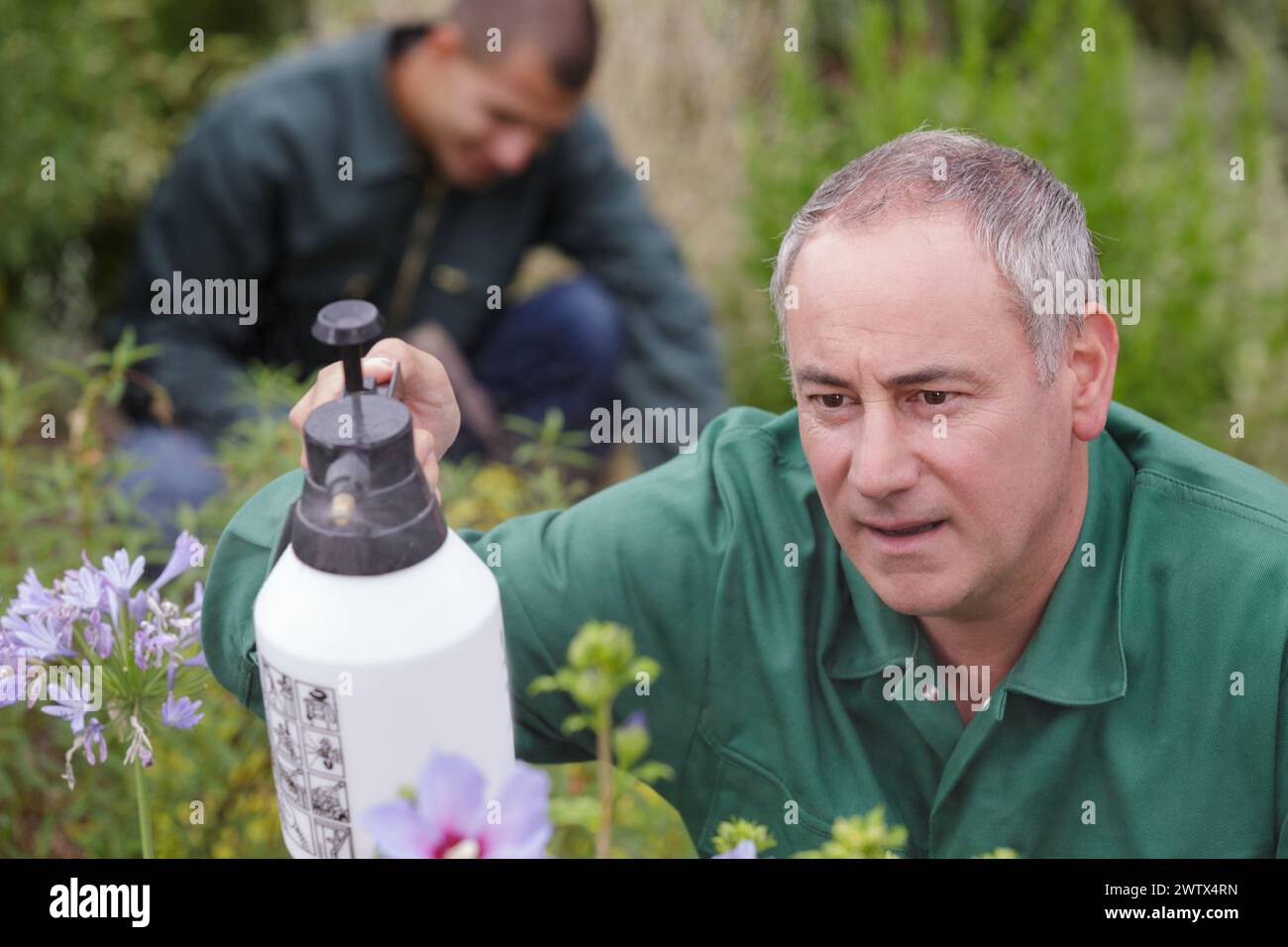 Close up employee spraying hi-res stock photography and images - Alamy