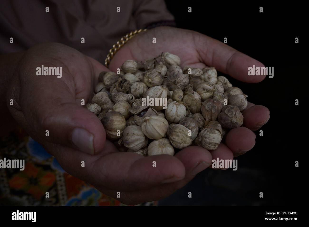 Export comodity hi-res stock photography and images - Alamy