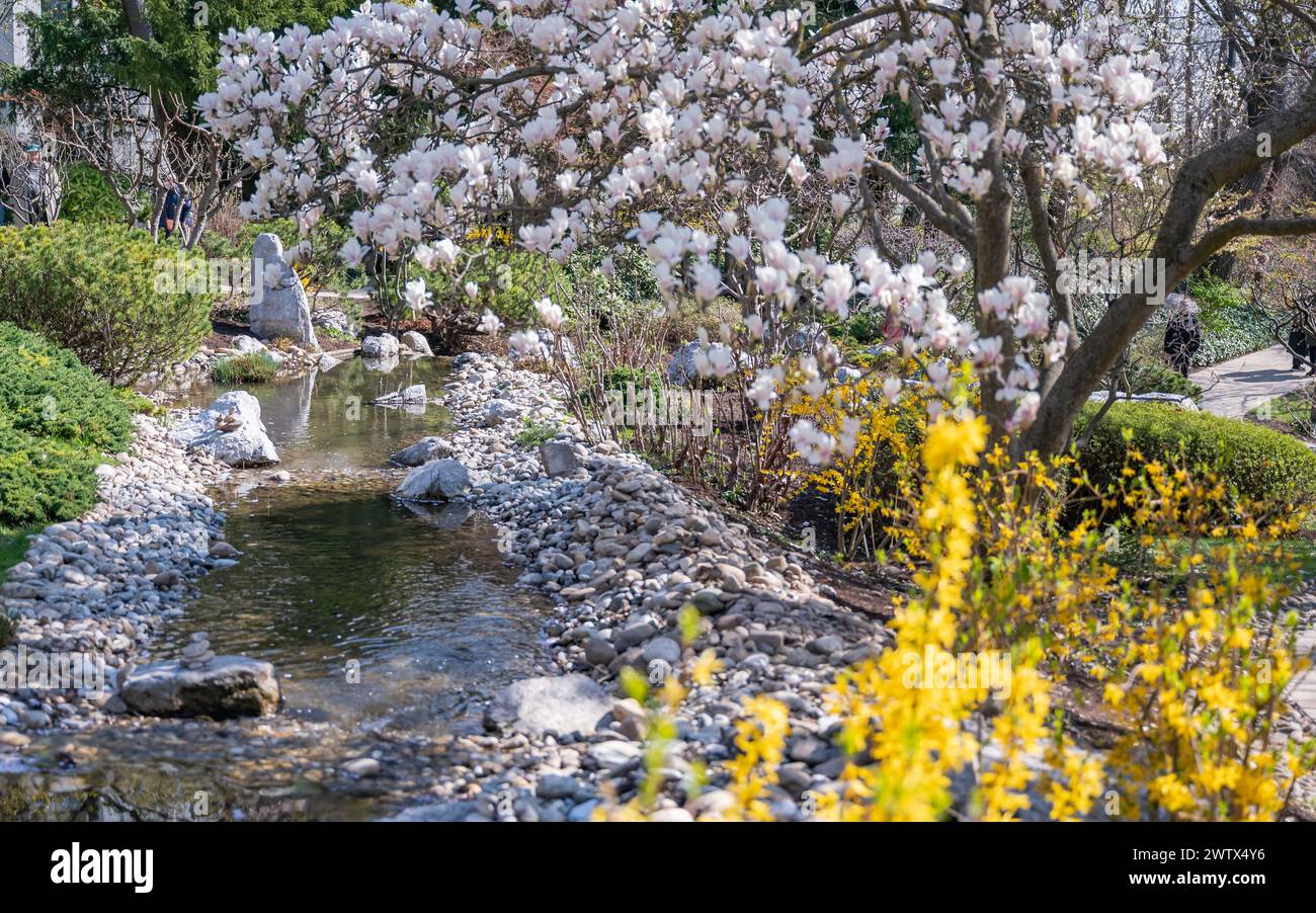 Impressions of the Vienna Setagaya Park-Japanese Garden, which was ...