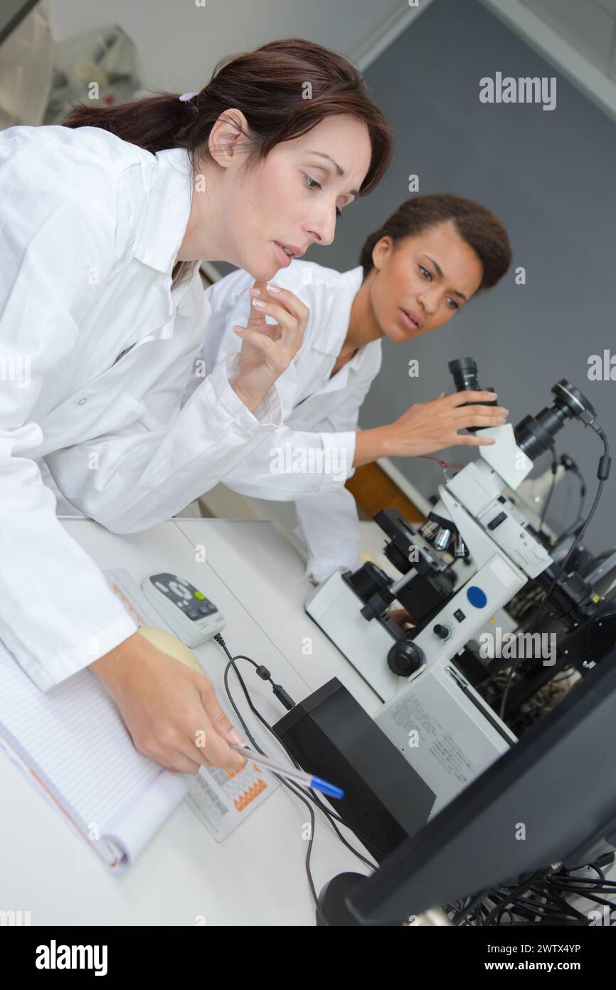 female lab workers look for chemical data in laboratory Stock Photo - Alamy