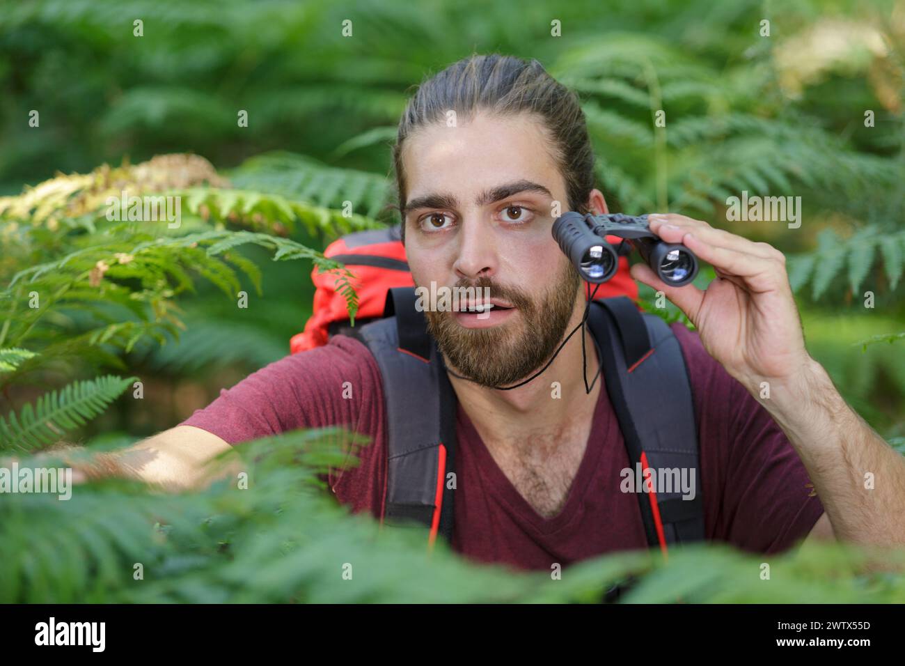 Florida birding man hi-res stock photography and images - Alamy