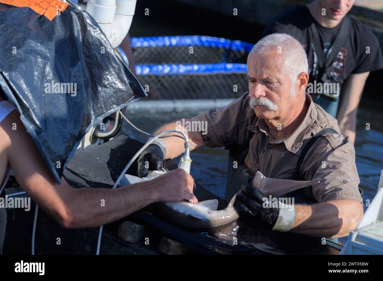 fishermen pulling a fish from the boat Stock Photo - Alamy