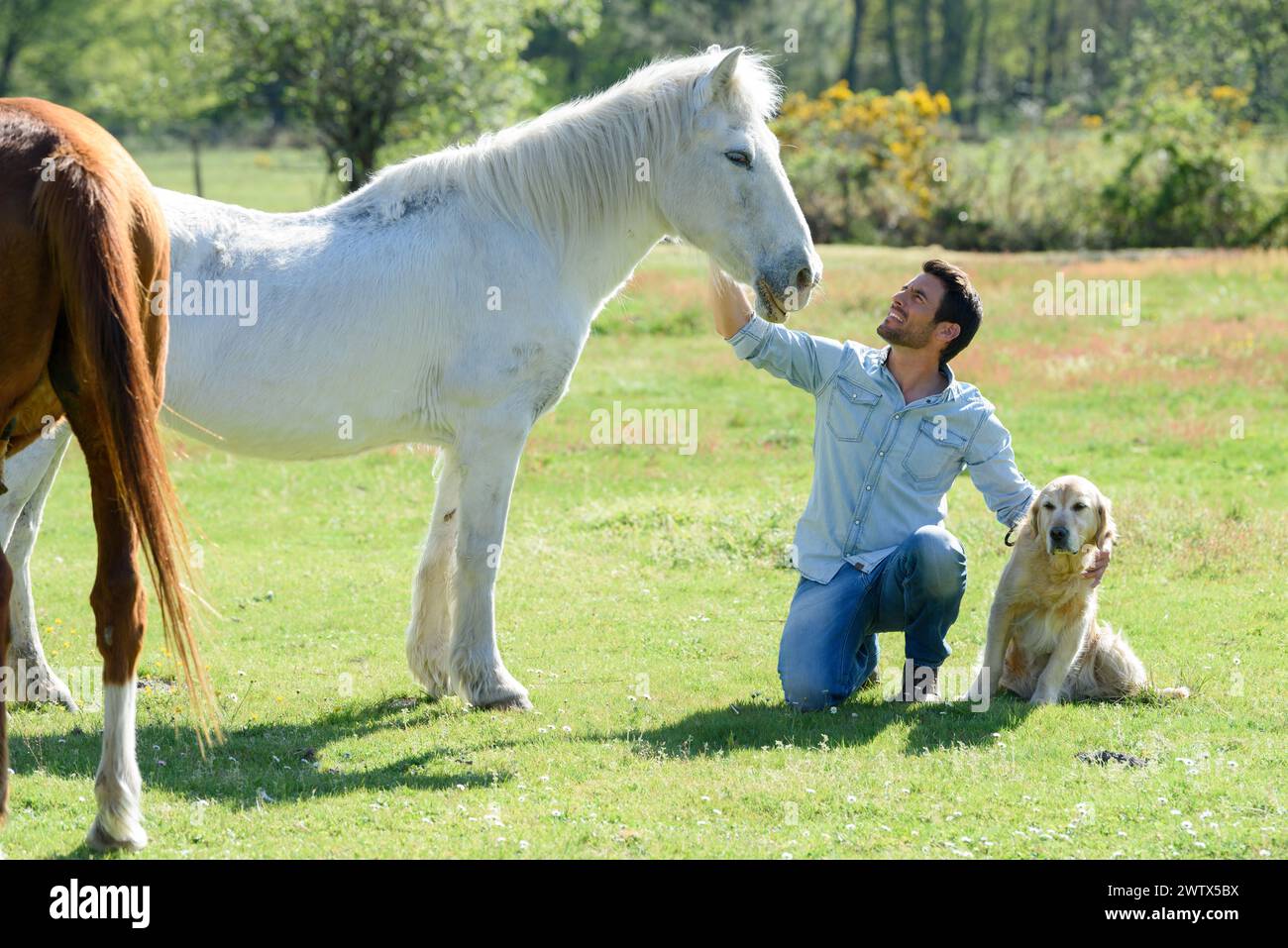 Portrait black man pony hi-res stock photography and images - Alamy