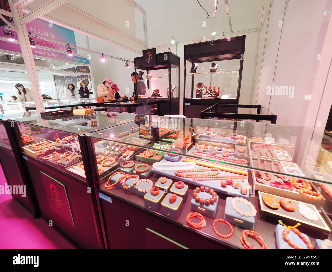BEIJING, CHINA - MARCH 20, 2024 - Visitors shop at the 2024 Beijing ...