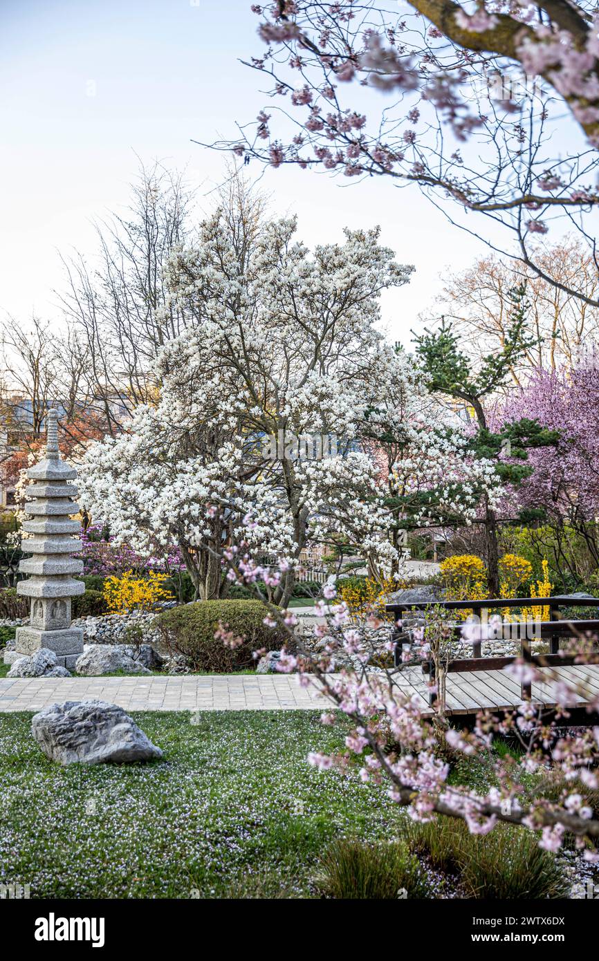Impressions of the Vienna Setagaya Park-Japanese Garden, which was ...