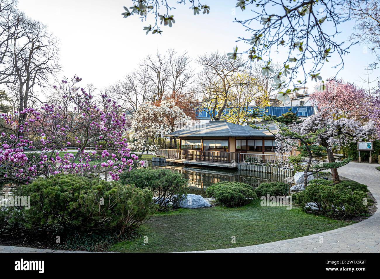 Impressions of the Vienna Setagaya Park-Japanese Garden, which was ...